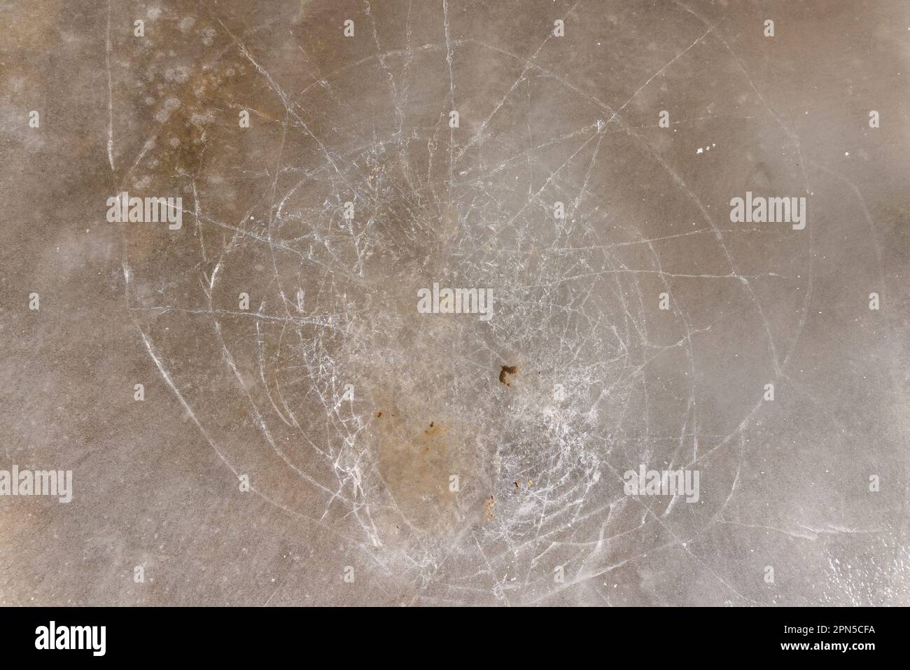 frozen puddles in an agricultural field with fertile soil, frozen dirty ...