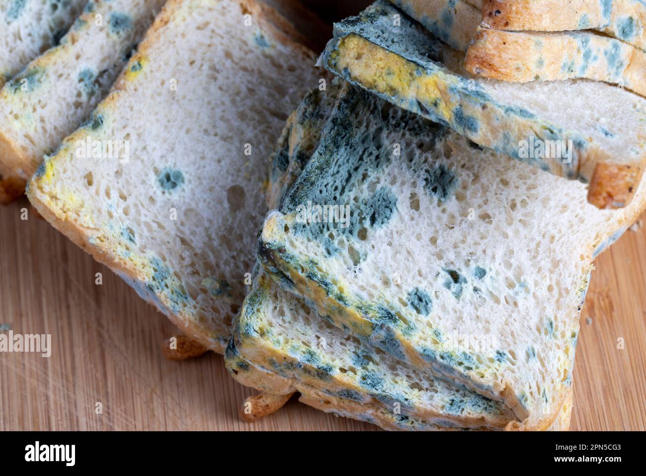 mold-covered sliced wheat bread, spoiled mold-covered dangerous pieces ...