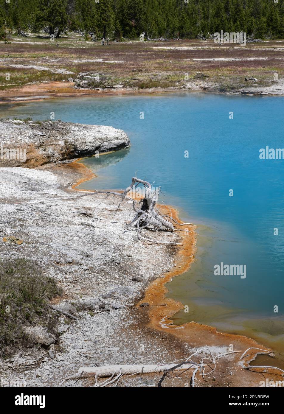 The yellowstones hi-res stock photography and images - Alamy