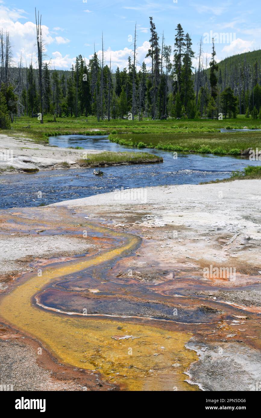 Yellowstone's' Thermal Rivers of Colorful Bacteria Stock Photo - Alamy