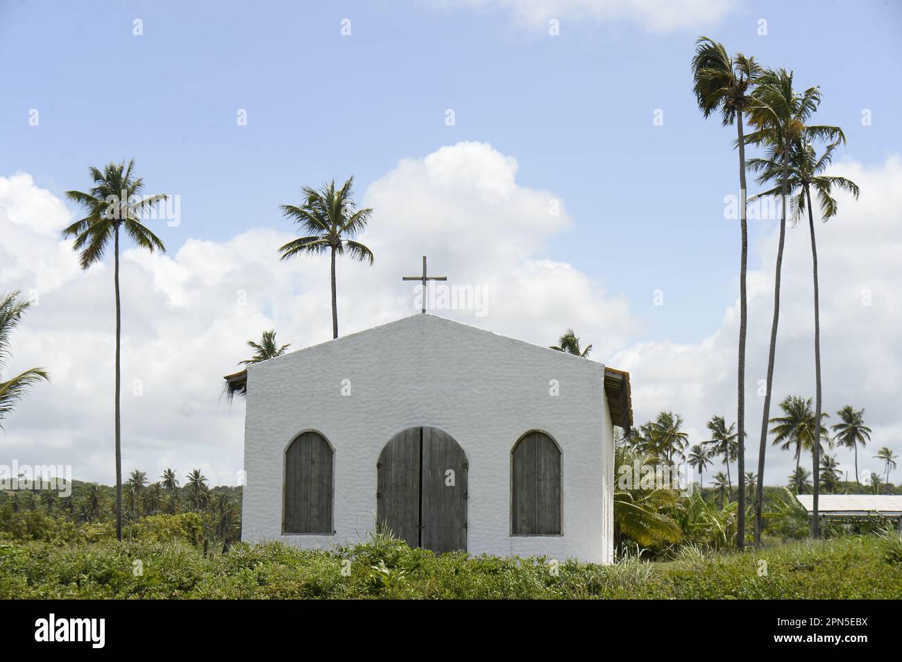 Alagoas - Brazil. Milagres beach in northeastern Brazil and its famous ...