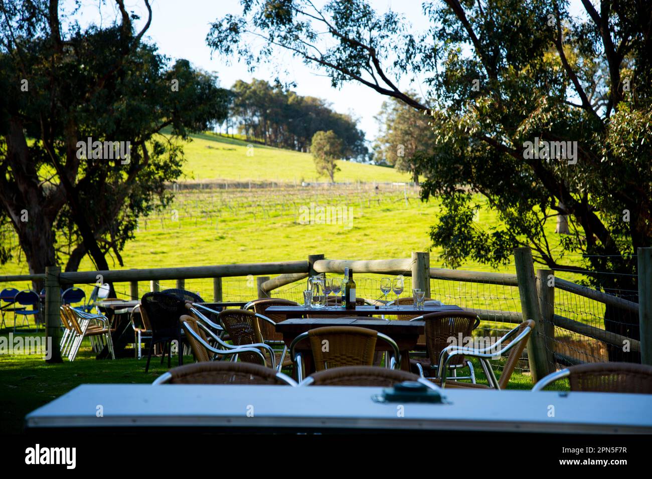 Vineyard in Ferguson Valley - Western Australia Stock Photo - Alamy