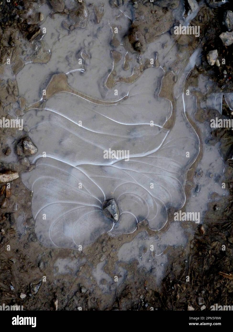 Field path puddle with ice structure, pothole frozen over with ice ...