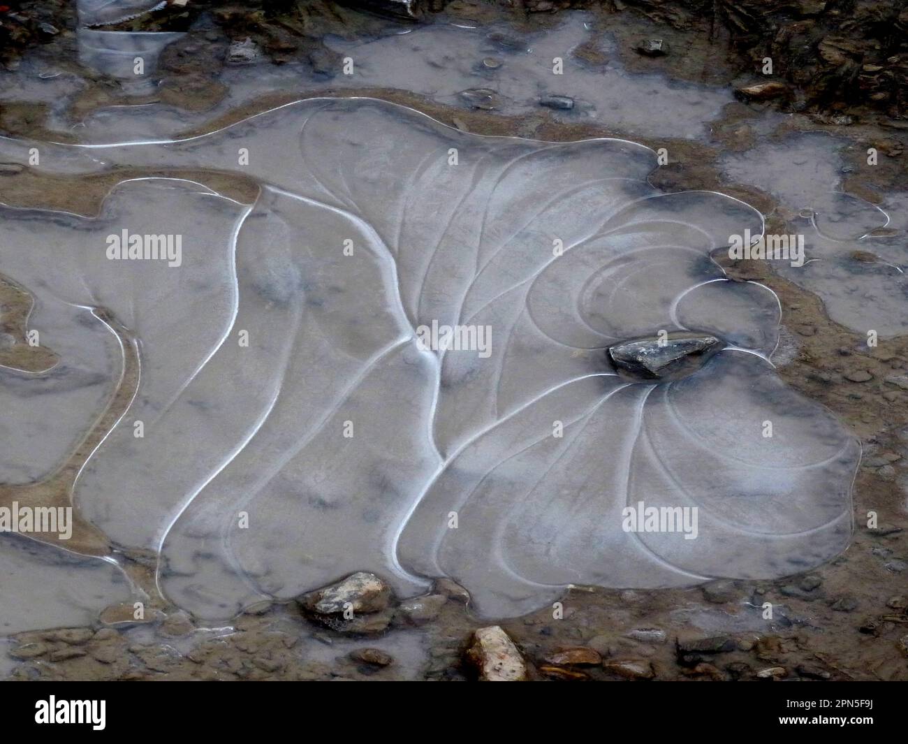 Field path puddle with ice structure, pothole frozen over with ice ...