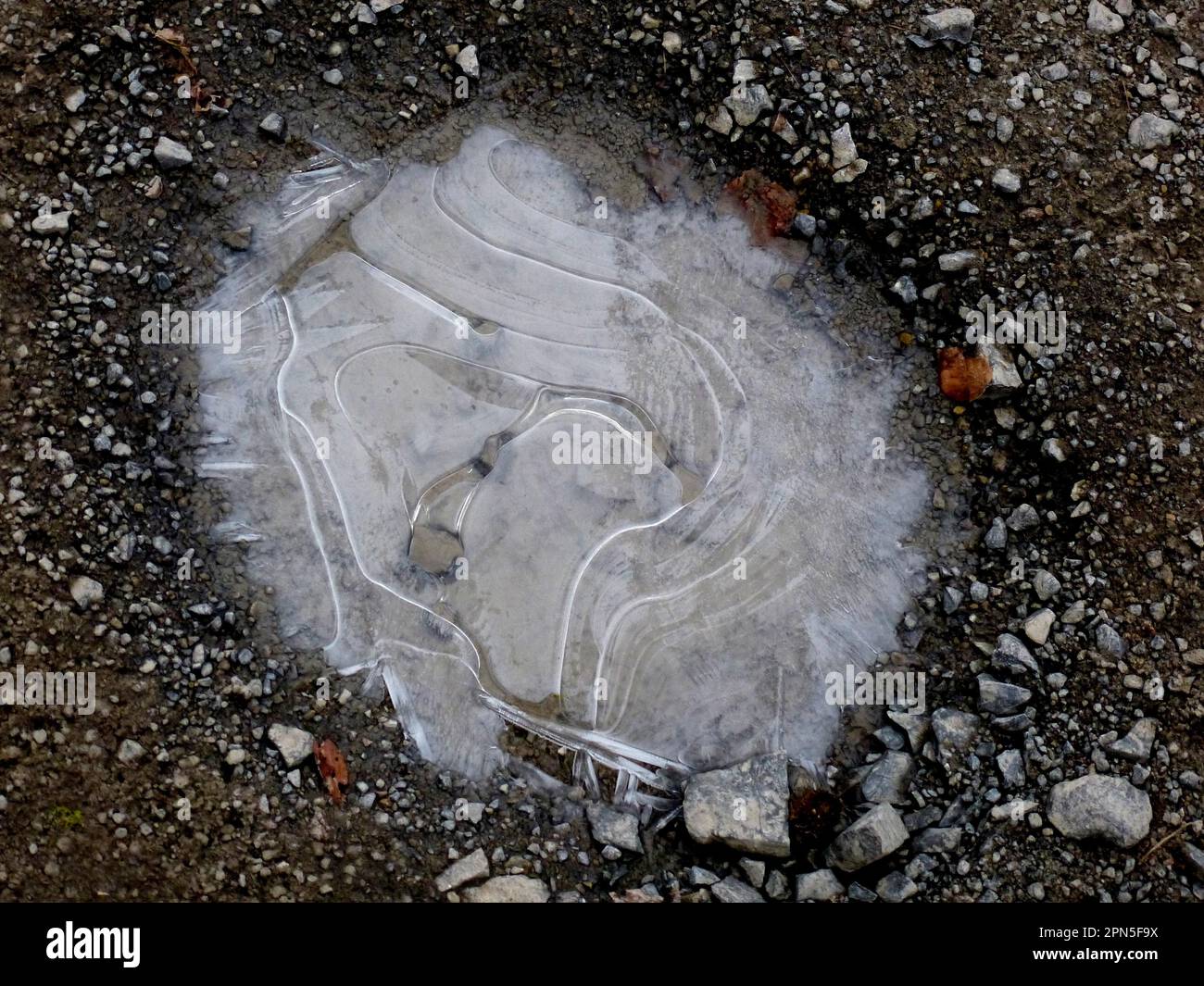 Field path puddle with ice structure, pothole frozen over with ice ...