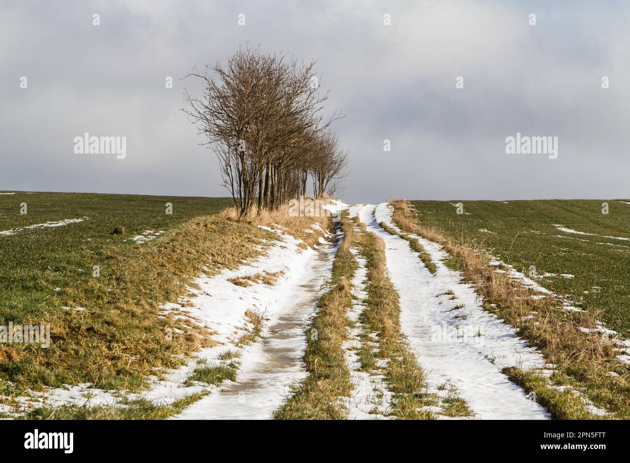 Snow-covered dirt road Stock Photo - Alamy