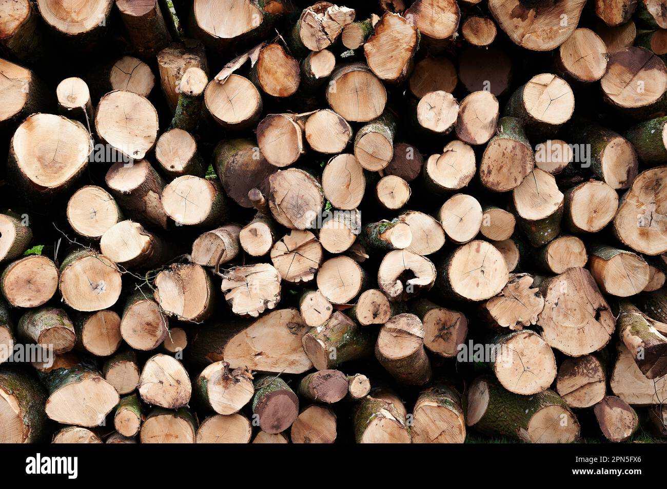 Cutting patterns wood hi-res stock photography and images - Alamy