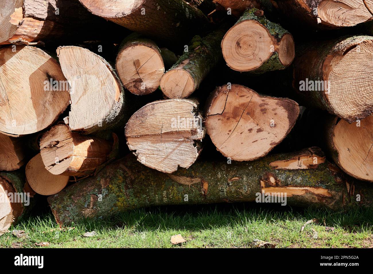Cutting patterns wood hi-res stock photography and images - Alamy