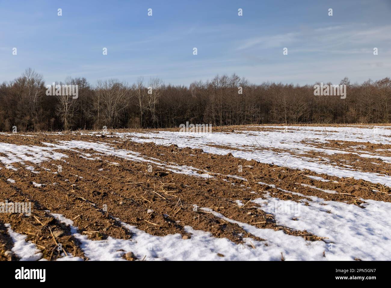agricultural field for planting plants in winter, prepared for spring ...