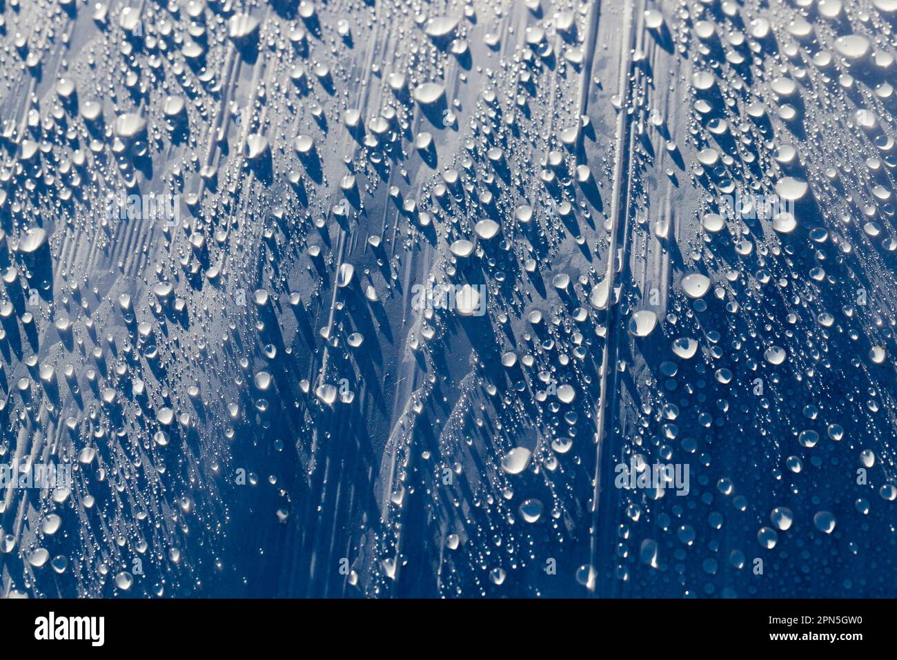 Plastic surface grass packaging hi-res stock photography and images - Alamy