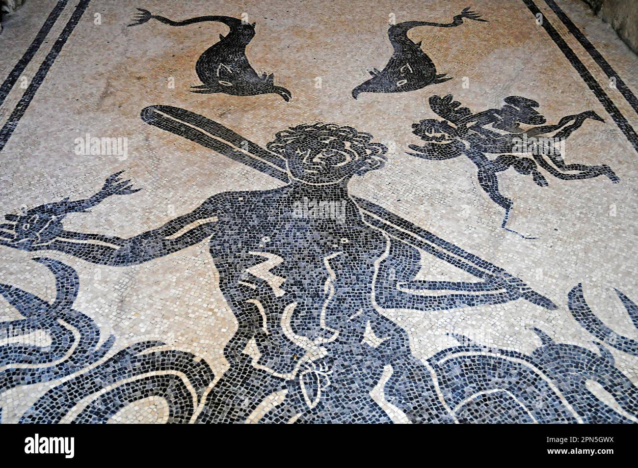 Mosaic floor, Terme Femminilli, thermal bath, archaeological site ...