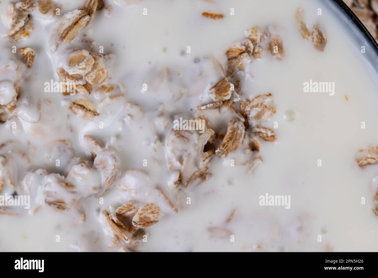 yogurt made from cow's milk with the addition of a large amount of oat ...