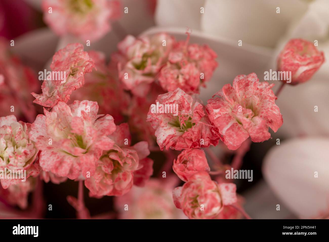 using different types of flowers to create a small bouquet for a ...