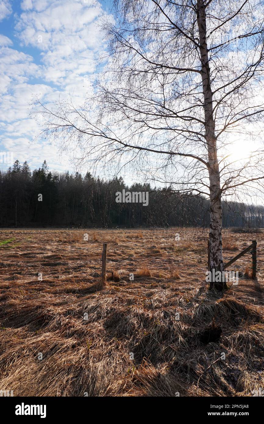 Grazing dry grassland land soil hi-res stock photography and images - Alamy