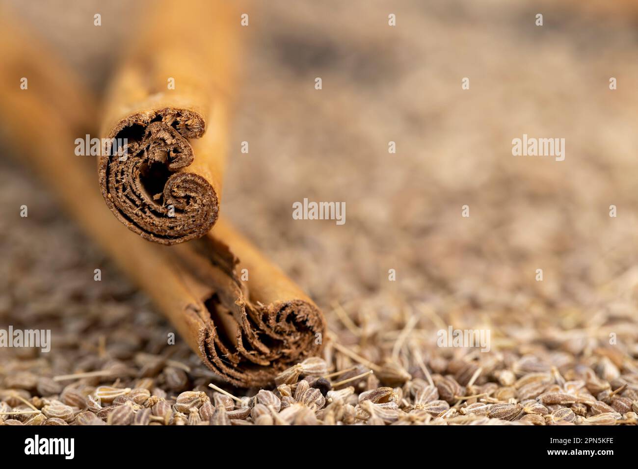 Ceylon real cinnamon with anise seeds in the kitchen, spices during ...
