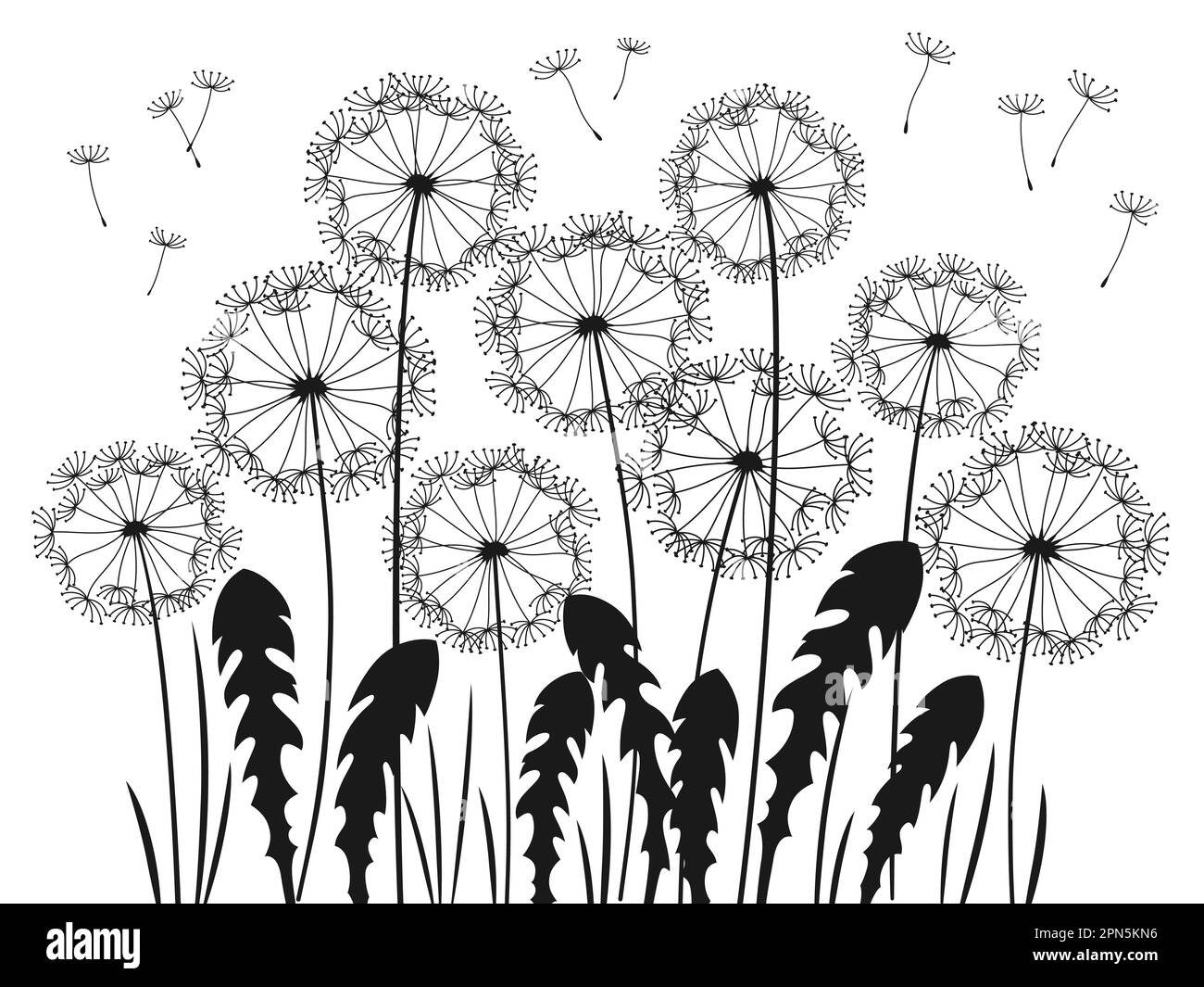 Dandelion with flying seeds ink silhouette illustration. Abstract ...