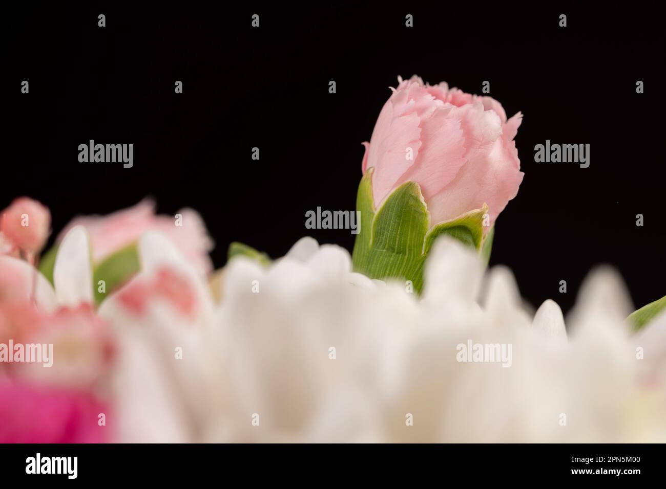 using different types of flowers to create a small bouquet for a ...