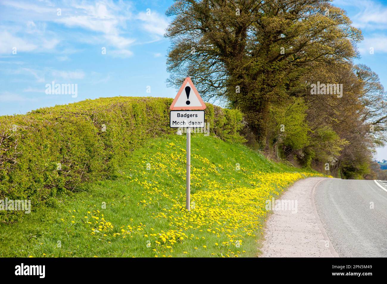 Badger crossing sign warning hi-res stock photography and images - Alamy