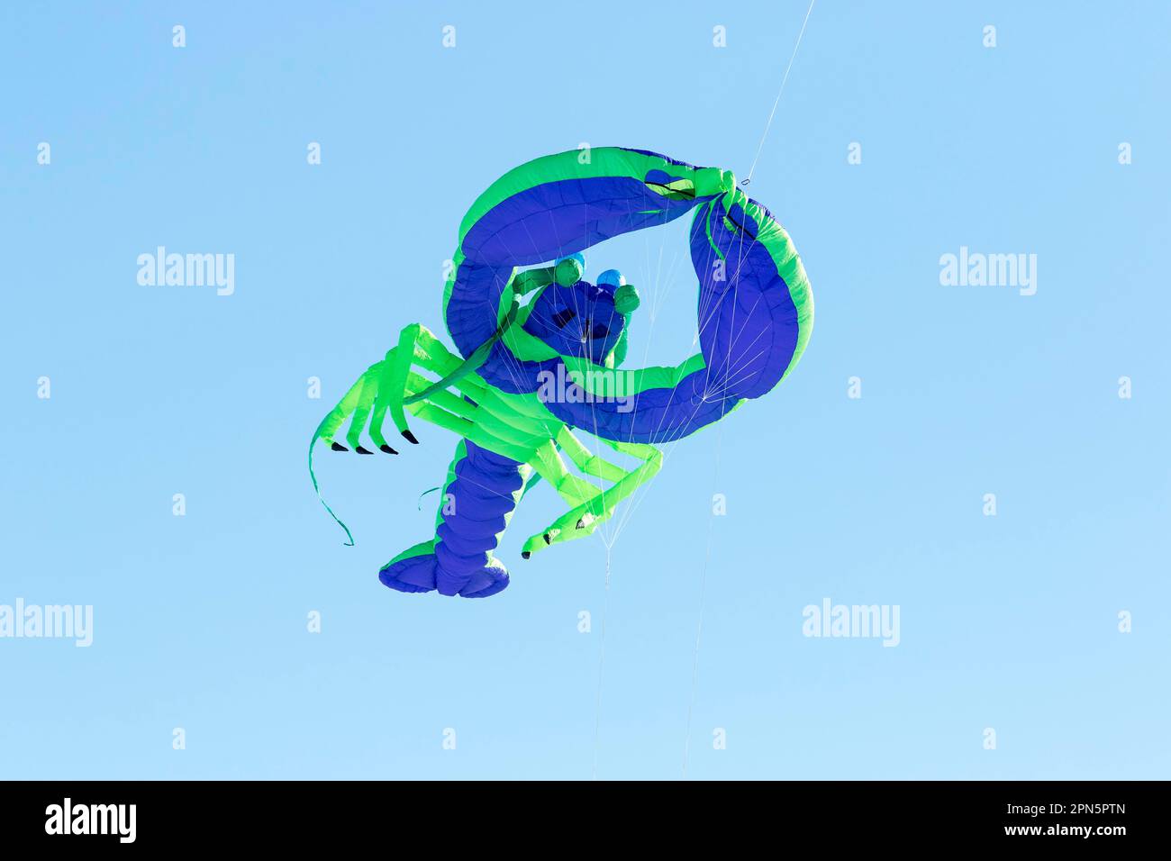 American kids hi-res stock photography and images - Alamy