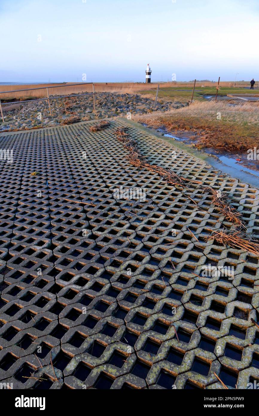 Bank reinforcement and coastal protection in Wremertief, district of ...