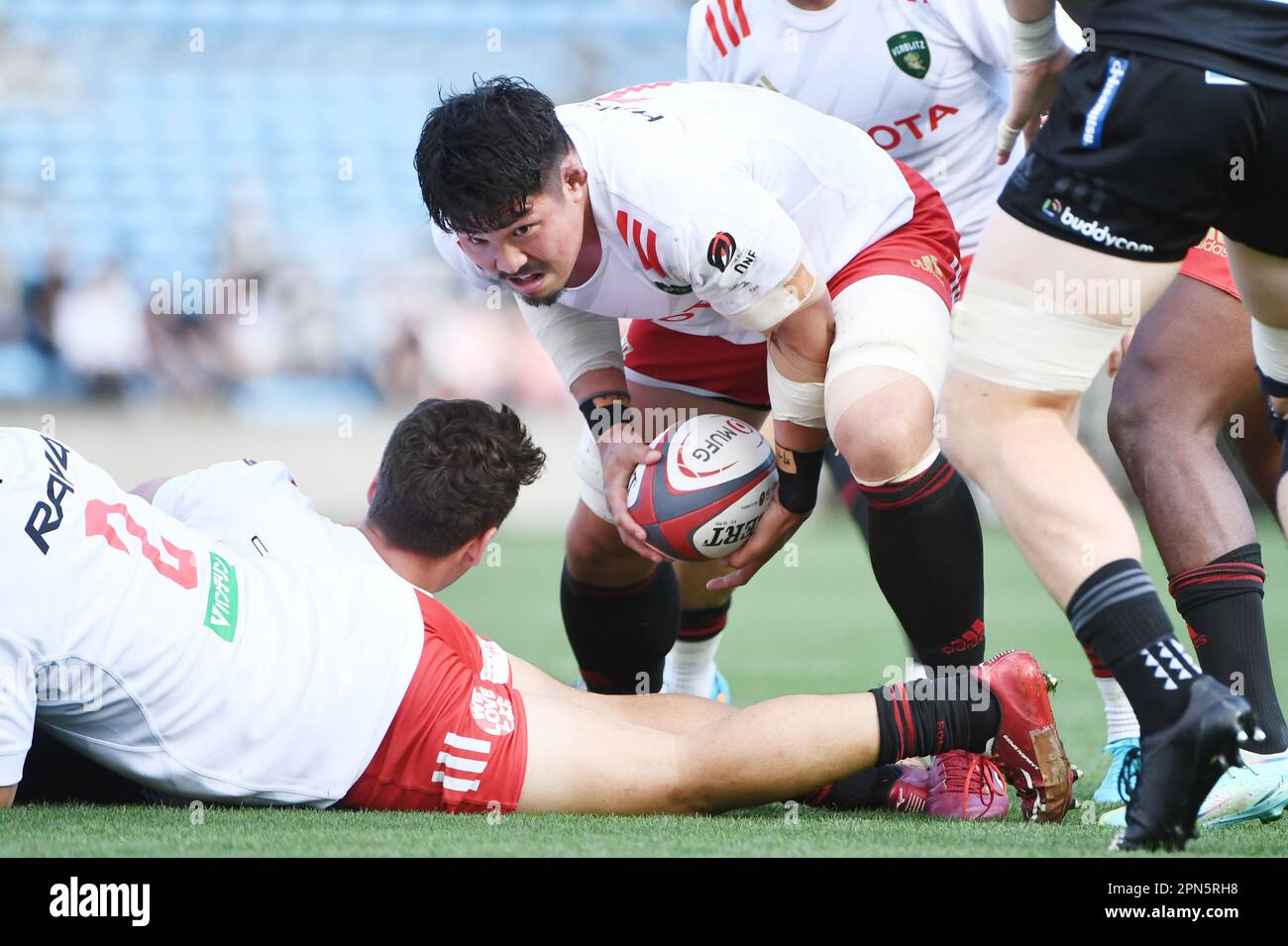 Black rams tokyo hi-res stock photography and images - Alamy