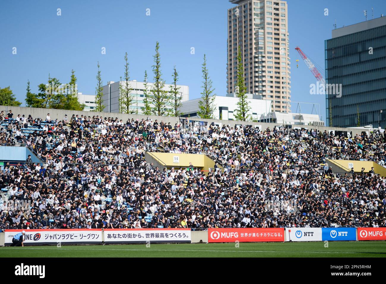 Black rams tokyo hi-res stock photography and images - Alamy