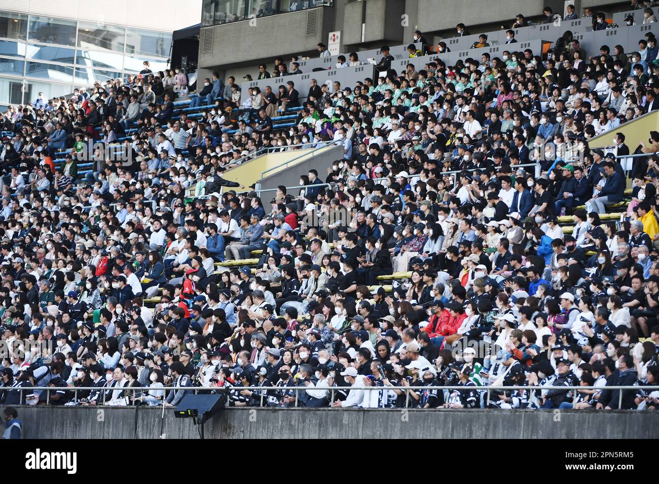 Black rams tokyo hi-res stock photography and images - Alamy