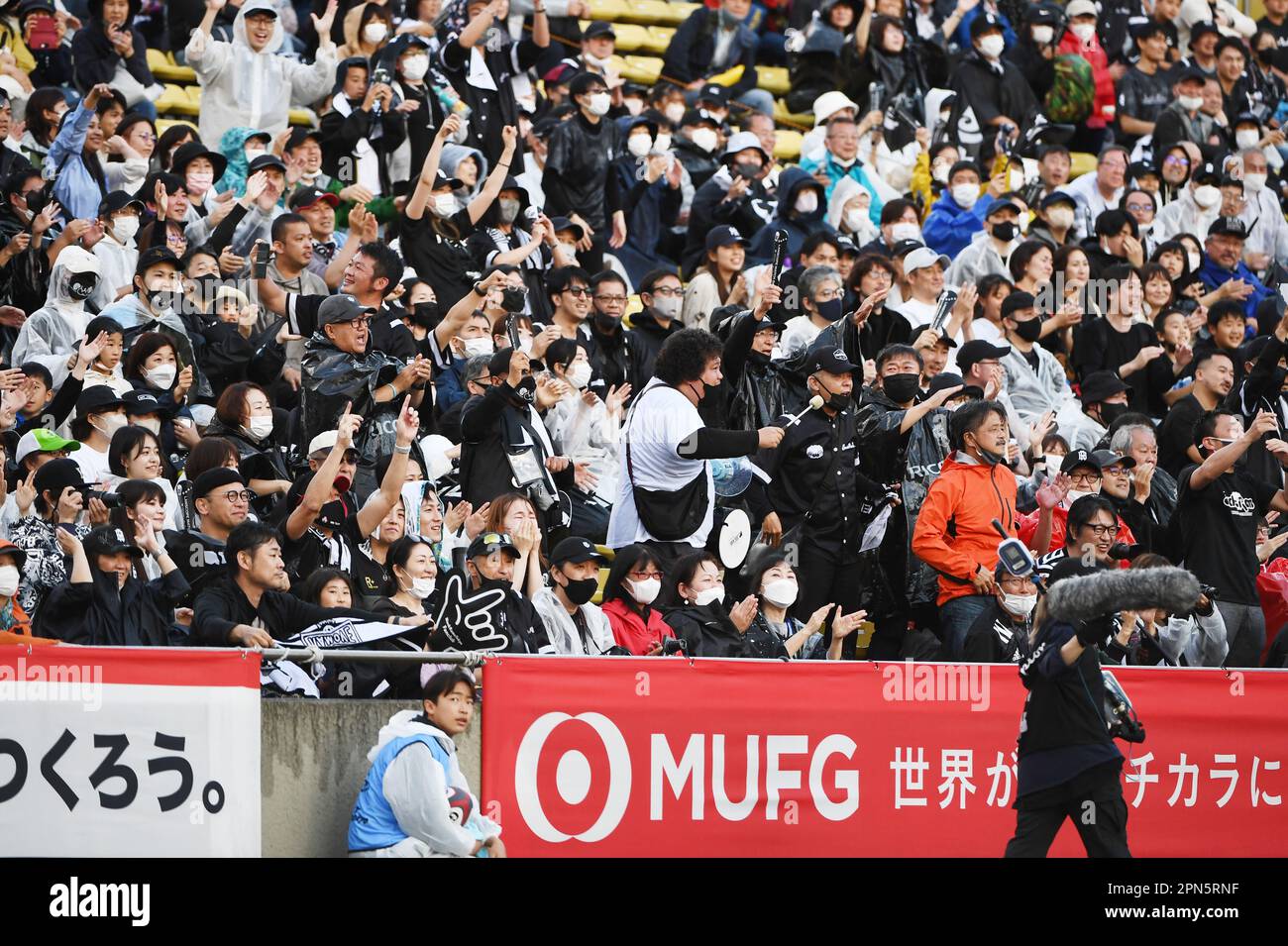 Black rams tokyo hi-res stock photography and images - Alamy