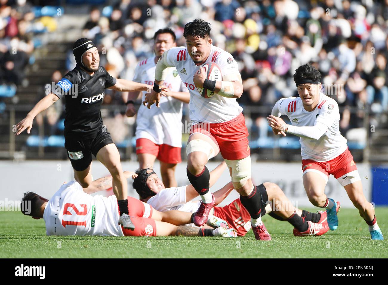 Black rams tokyo hi-res stock photography and images - Alamy