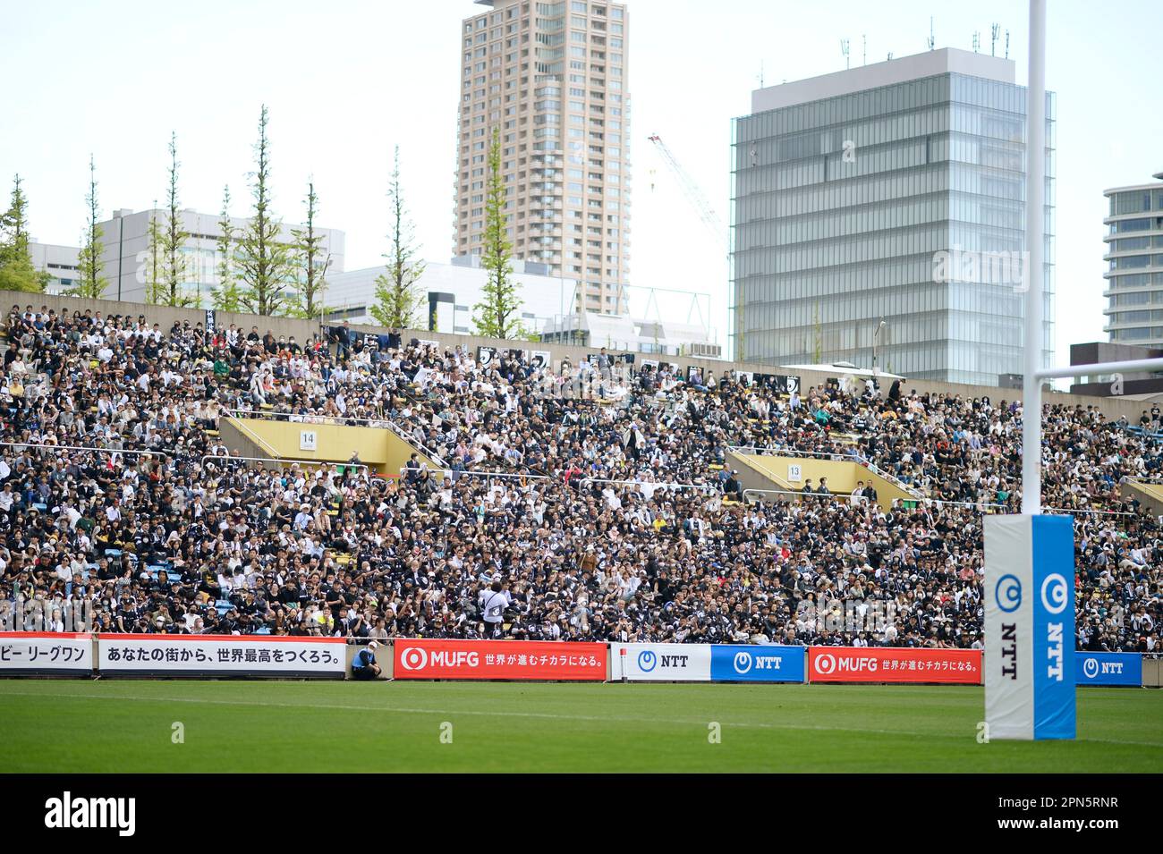 Black rams tokyo hi-res stock photography and images - Alamy