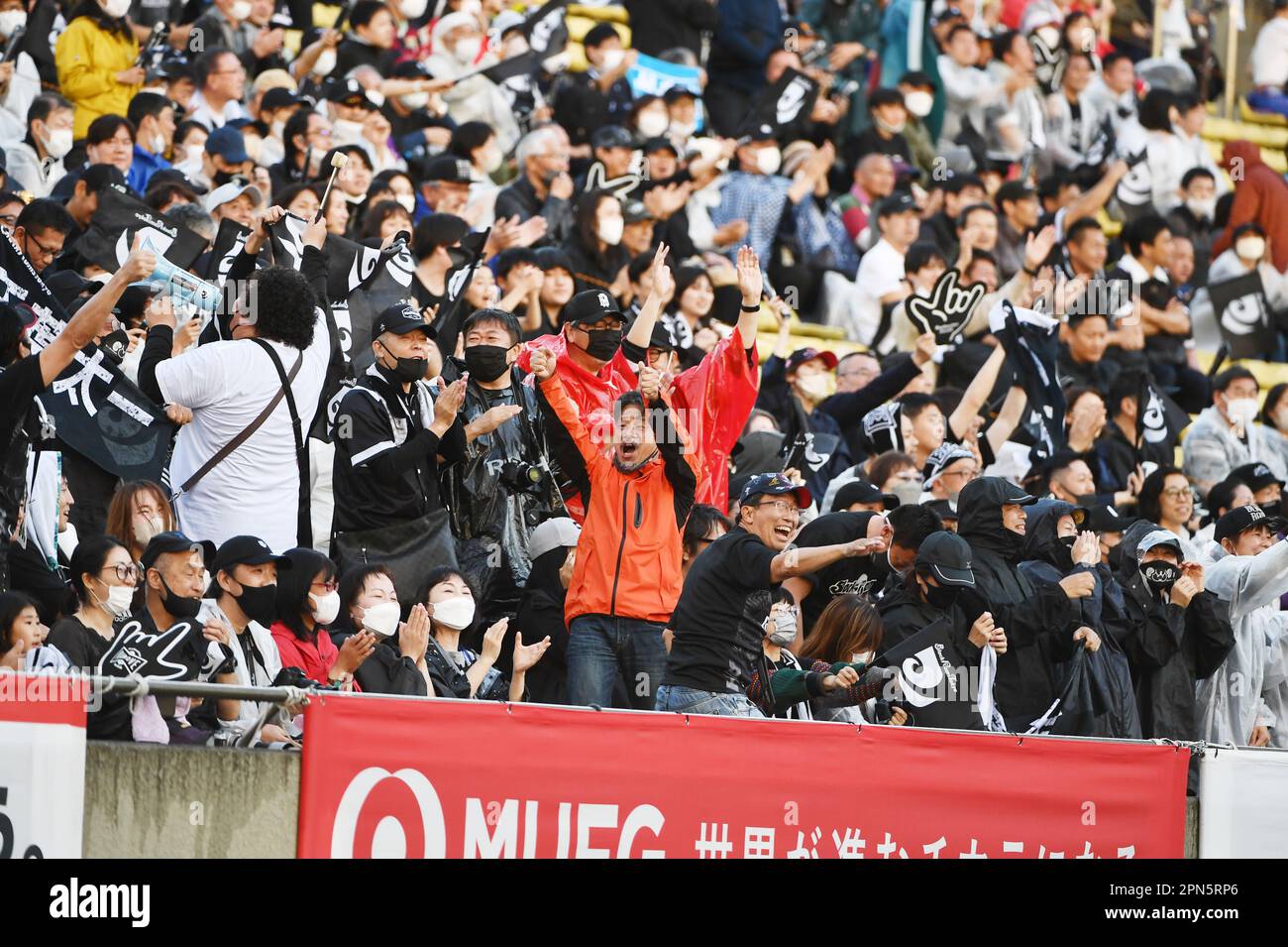 Black rams tokyo hi-res stock photography and images - Alamy