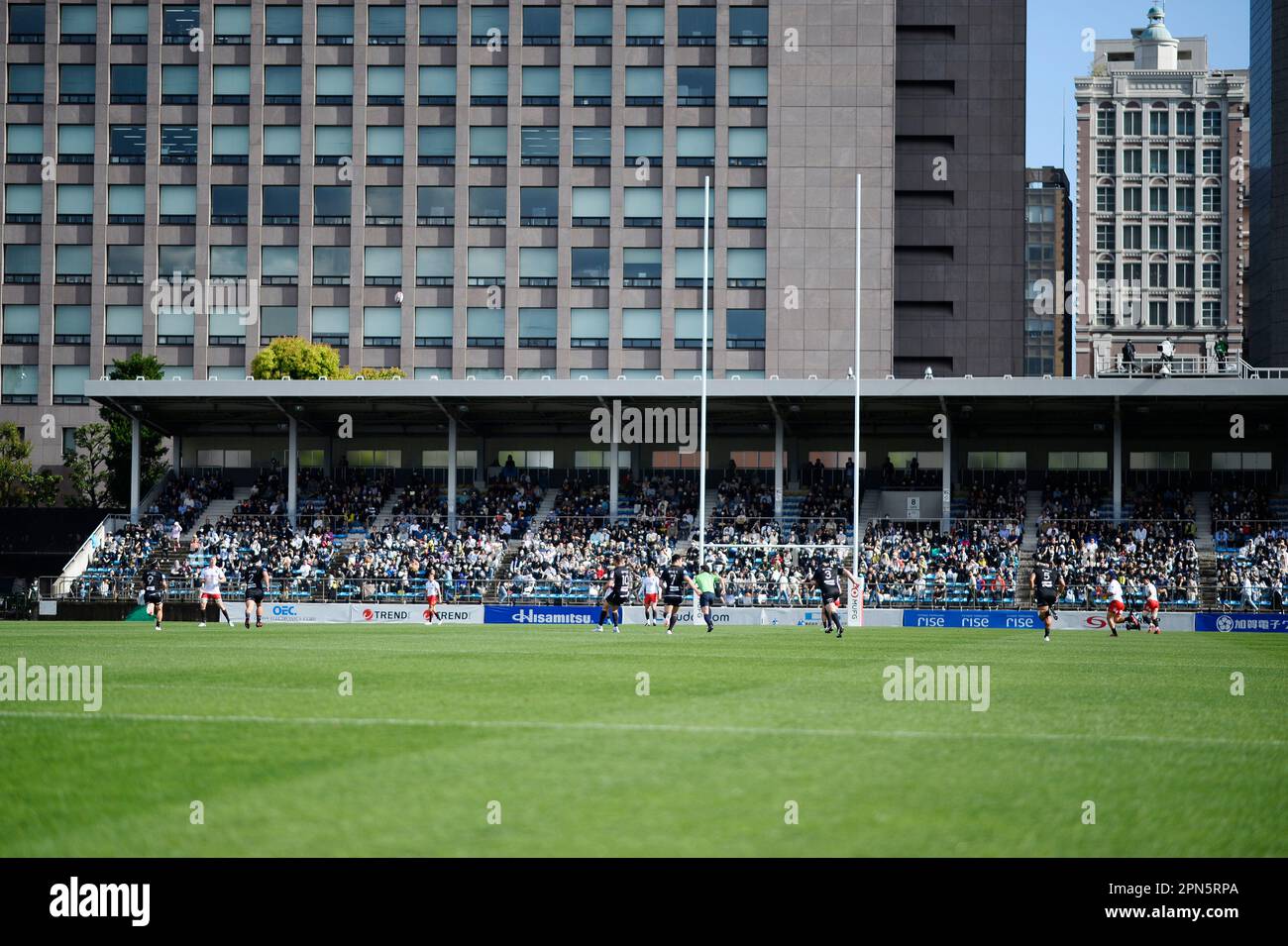 Black rams tokyo hi-res stock photography and images - Alamy