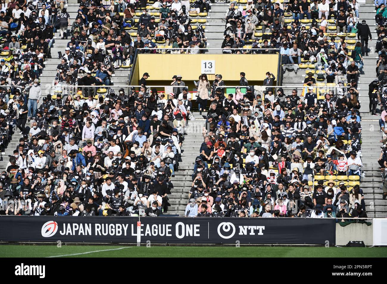 Black rams tokyo hi-res stock photography and images - Alamy