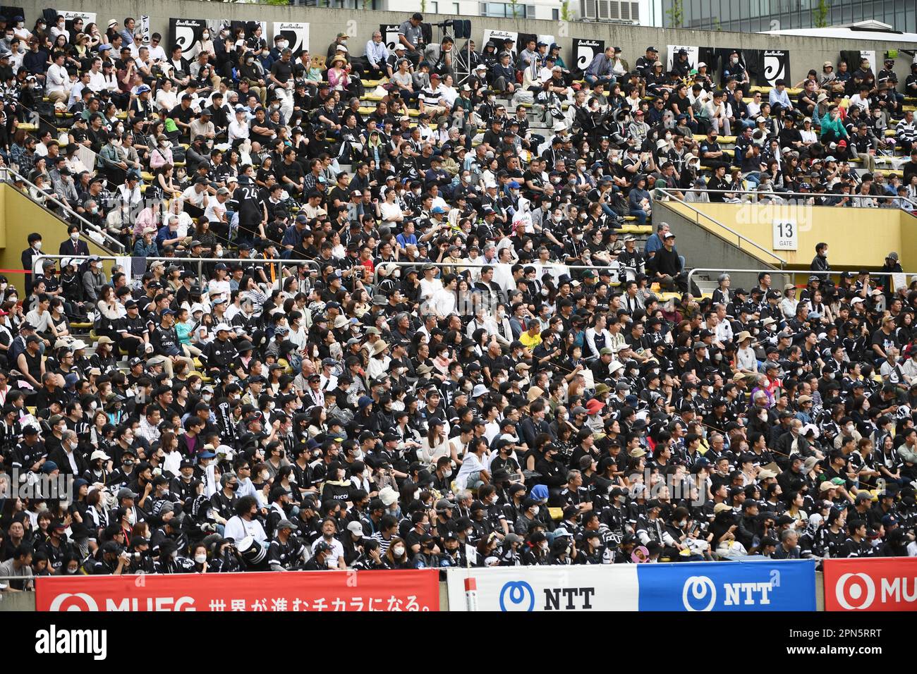 Black rams tokyo hi-res stock photography and images - Alamy
