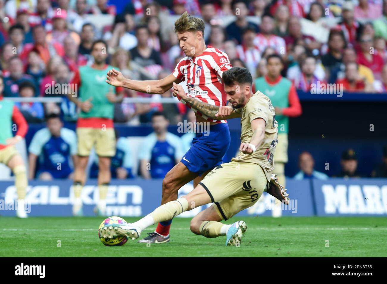 Alex centelles hi-res stock photography and images - Alamy