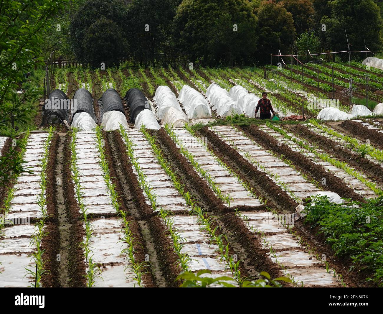 Work the land hi-res stock photography and images - Alamy