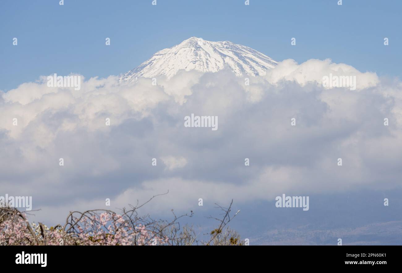 Fujinomiya, Shizuoka, Japan, view of clouded Mount Fuji in spring Stock ...