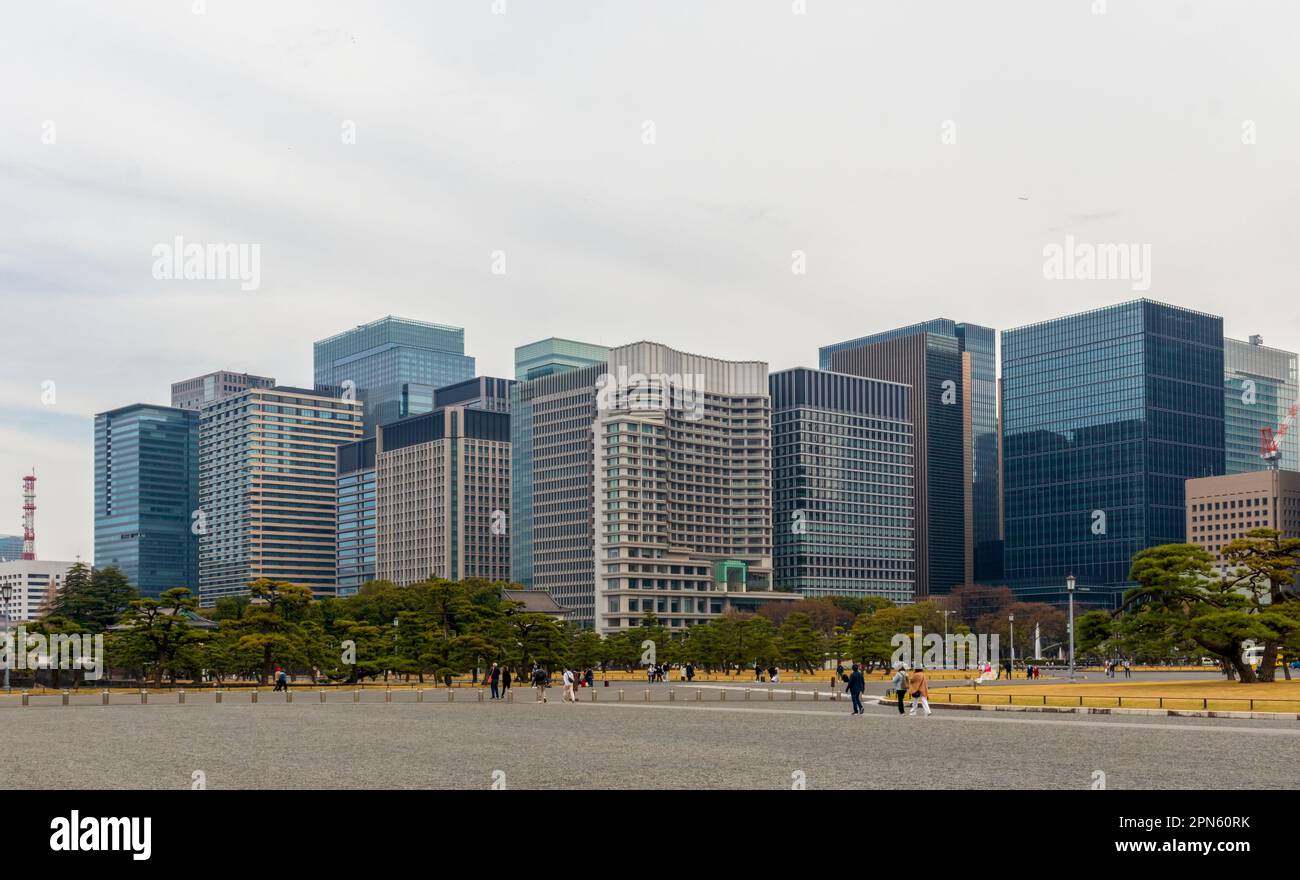 Tokyo, Japan - March 21, 2023: Tokyo Cityscape and Pine Trees in the ...