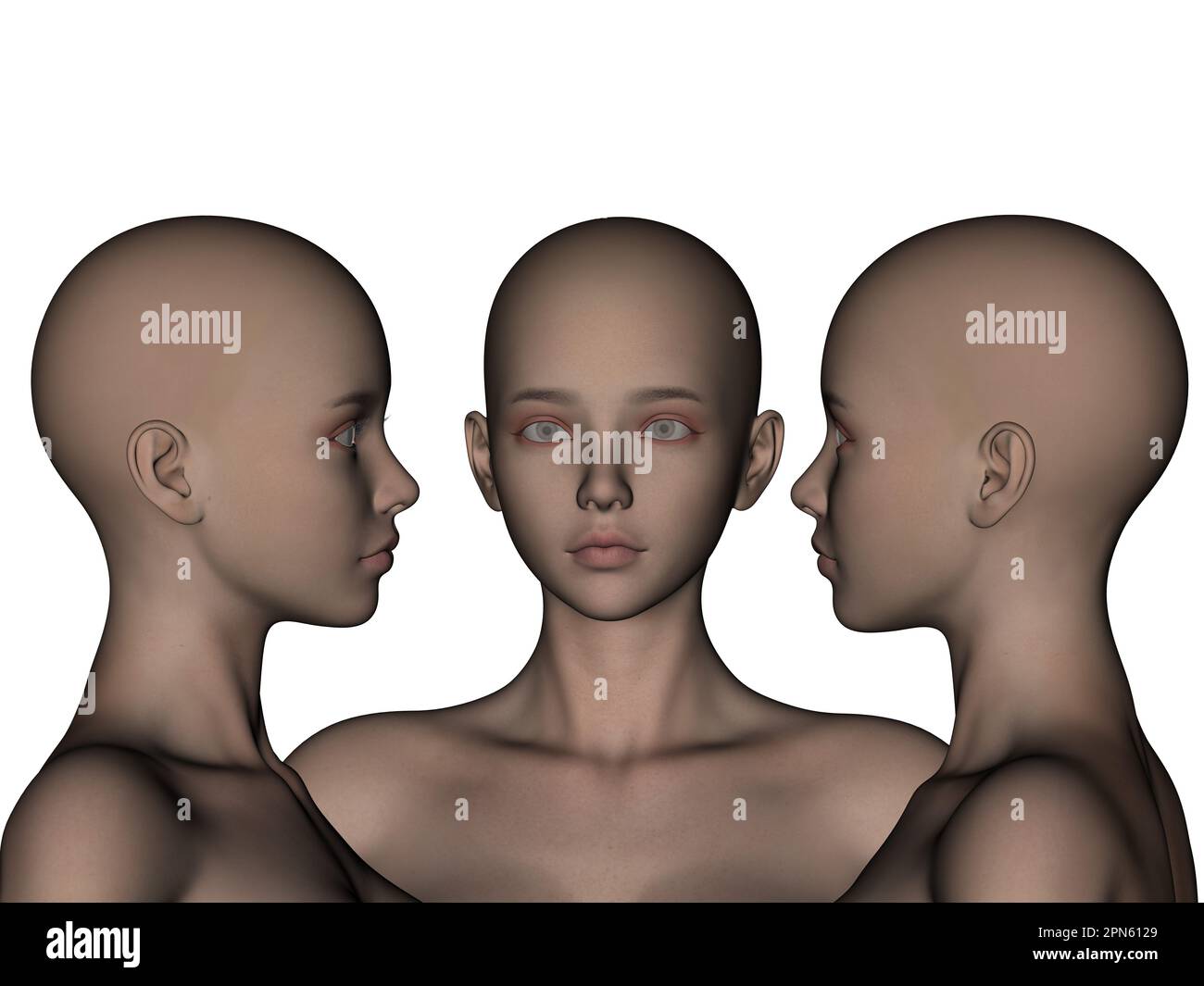 3d render. And the angle of a female bald head on a white background ...