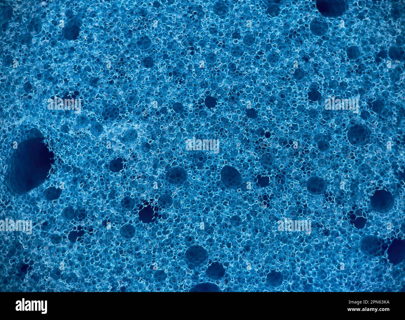 Close up view porous sponge hi-res stock photography and images - Alamy
