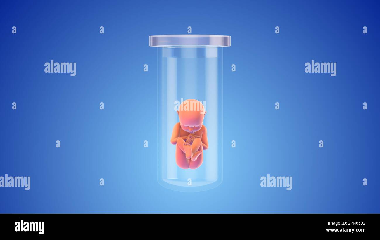 Test tube baby vitro fertilization Stock Photo - Alamy