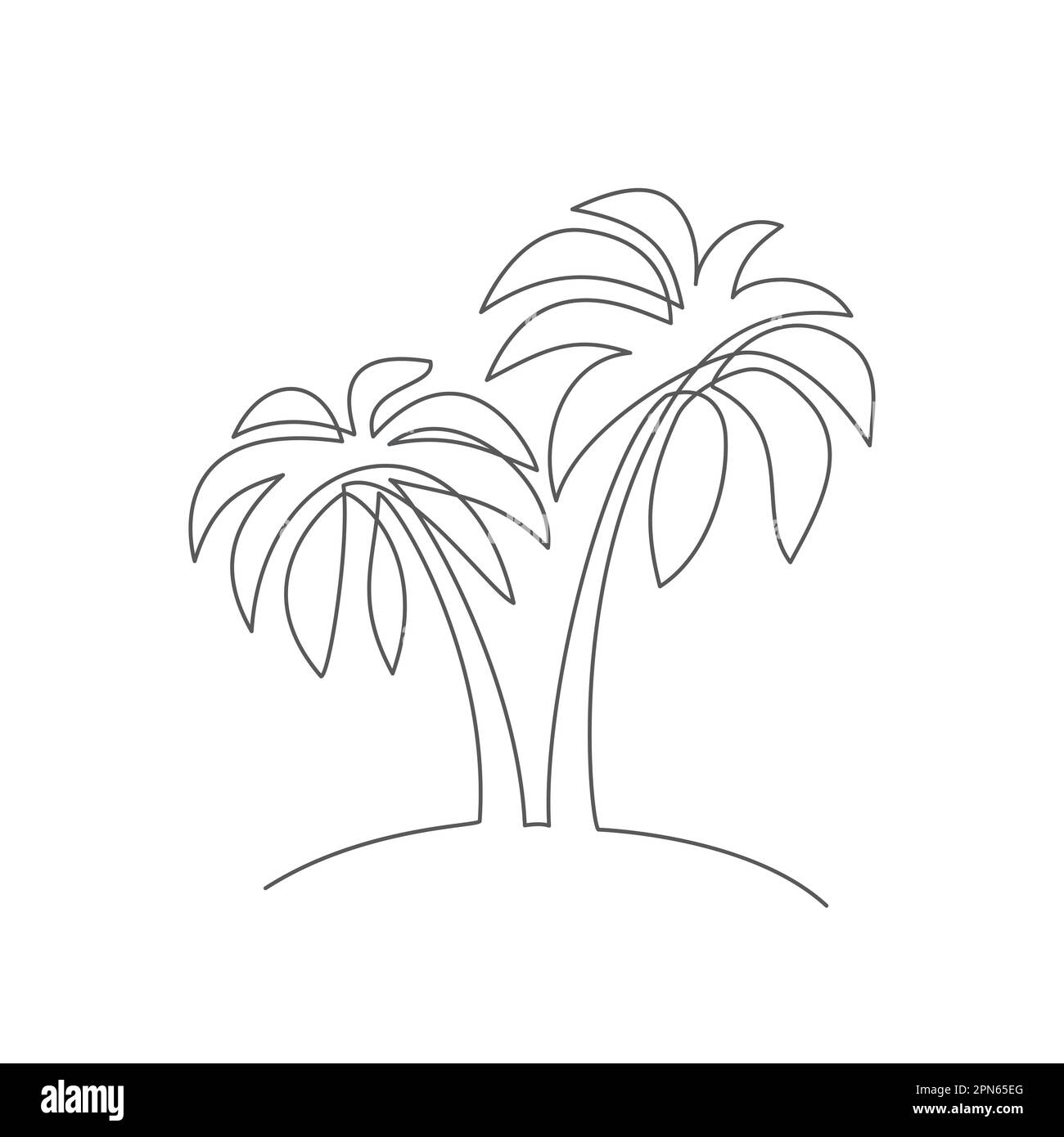 Coconut palm trees line tropical Cut Out Stock Images & Pictures - Alamy