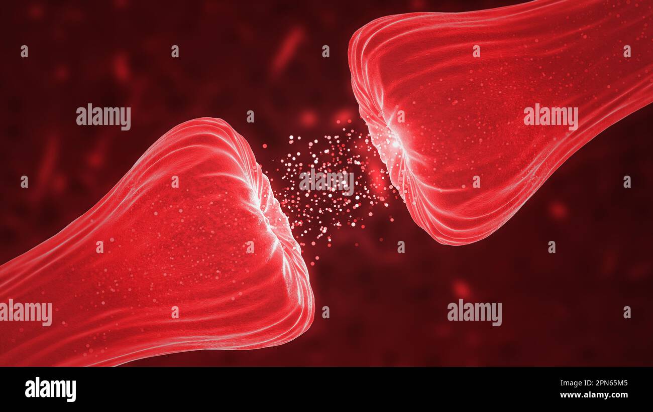 Human brain network connections hi-res stock photography and images - Alamy
