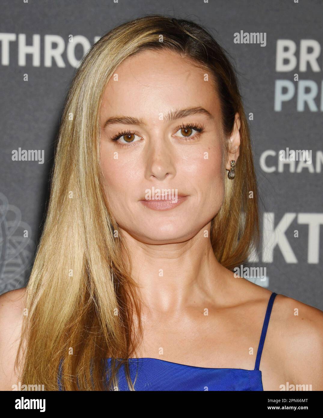 LOS ANGELES, CALIFORNIA - APRIL 15: Brie Larson attends the Ninth ...