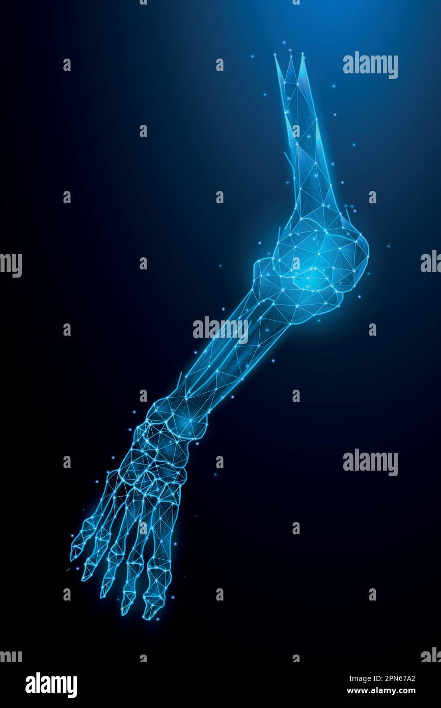 Polygonal vector illustration of the leg bones. Abstract anatomical ...