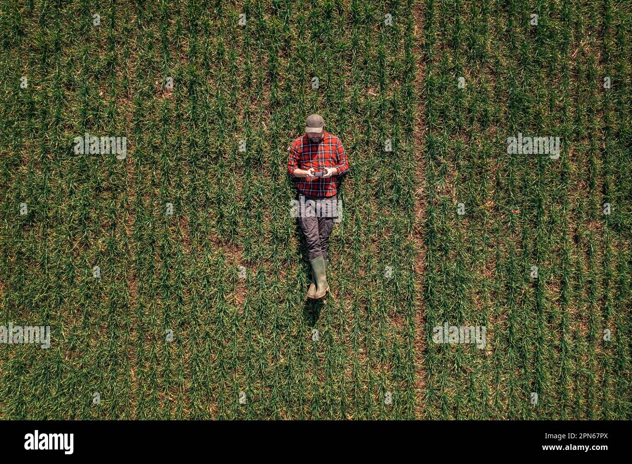 Person laying on the ground hi-res stock photography and images - Alamy