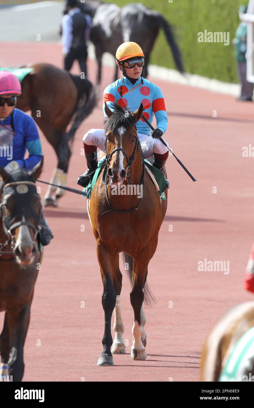 Hyogo, Japan. 16th Apr, 2023. Promised Warrior and Katsuma Sameshima ...