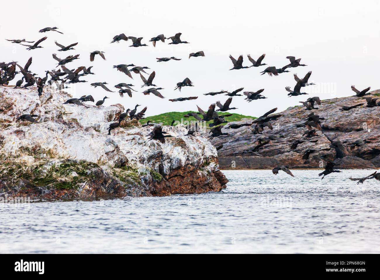 Black rock rocky islet hi-res stock photography and images - Alamy