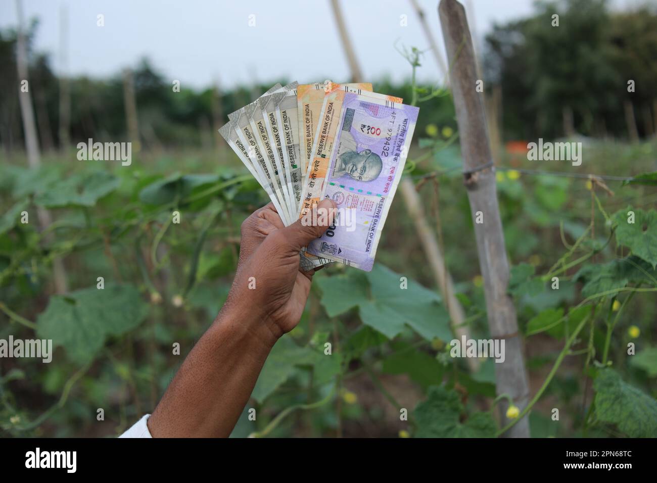 ndian farmer holding cash in hands, Indian rupees, happy farmer Stock ...
