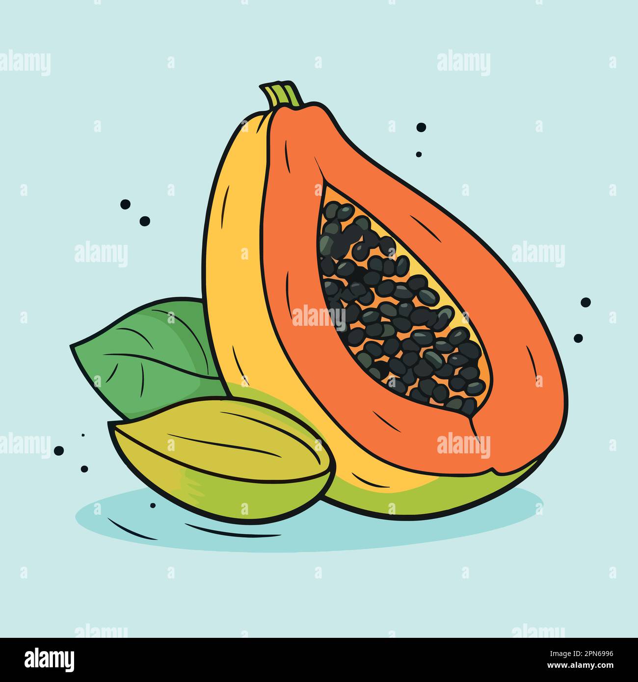 papaya fruit cut in half minimalist vector illustration Stock Vector ...
